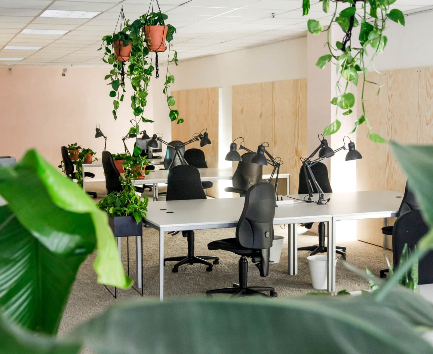 Stunt • Coworking & Community